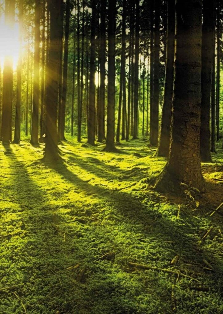 Max Compact panels for exterior applications| Fundermax