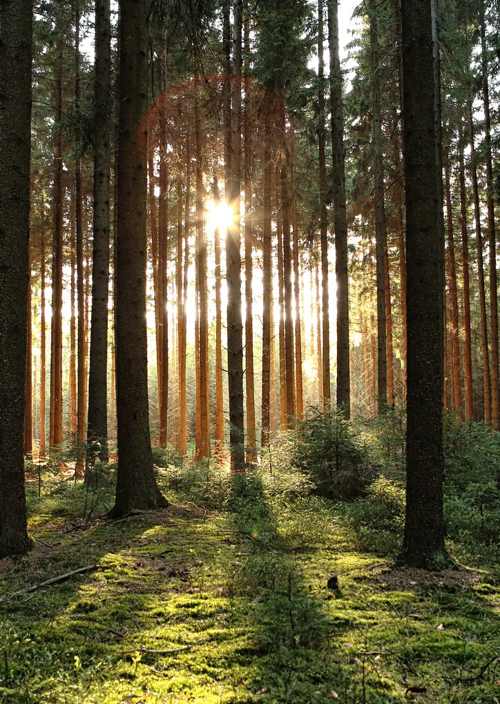 Podio Balkonbodenplatte | Fundermax