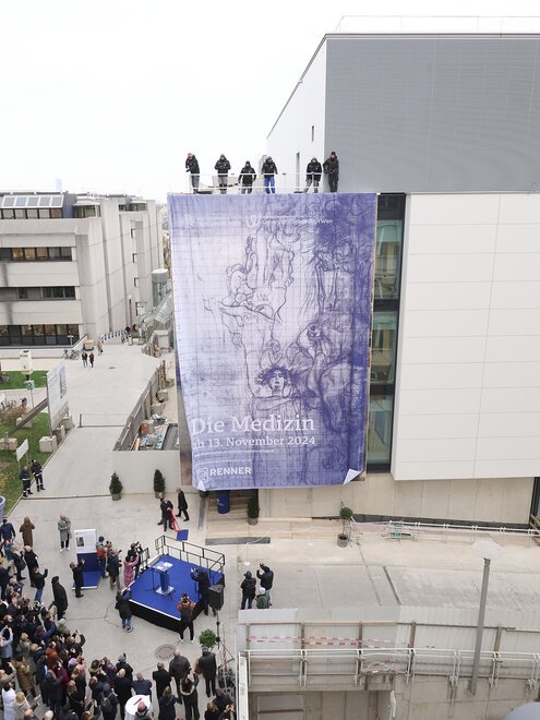 A masterpiece for eternity: Klimt's ‘The Medicine’ returns