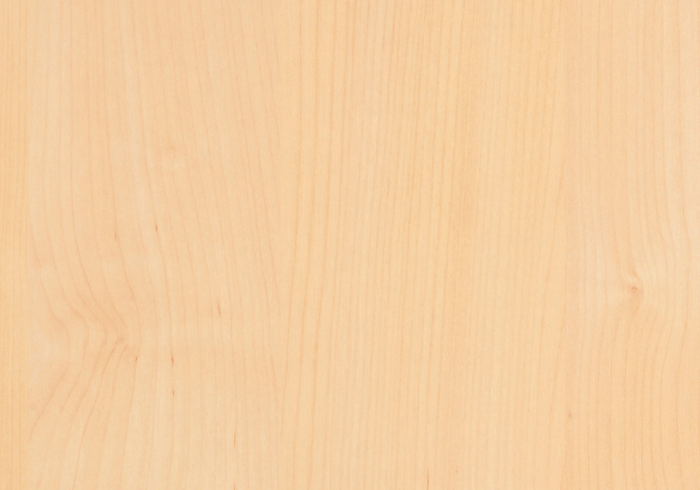 Max decorative laminates - HPL Brown core 0171 Tundra Birch