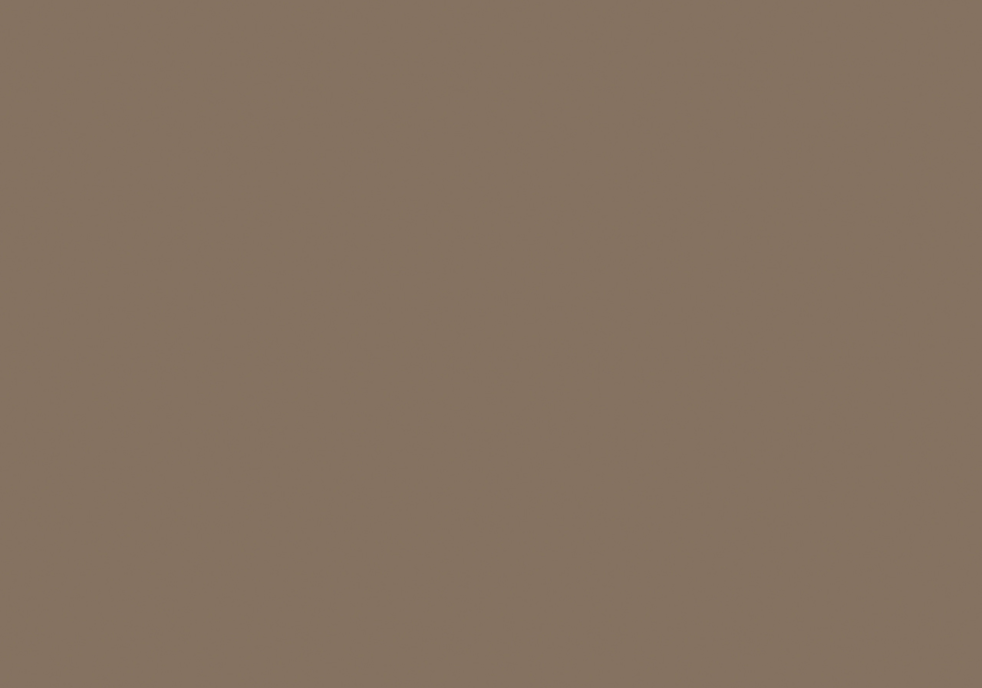 Max Compact Exterior Brown core F-Quality 0768 Sparrow NT